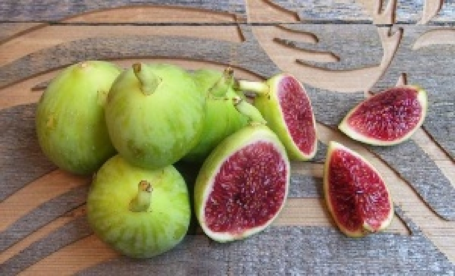 Ancient Greek Figs